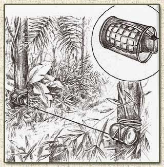 vietnam war booby traps: The Use Of Punji Traps In The Vietnam War