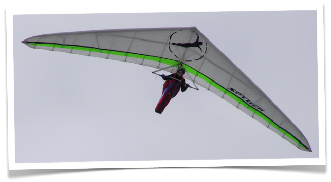 ALA DELTA SPYDER - SEEDWINGS ~ DISMAVUELO