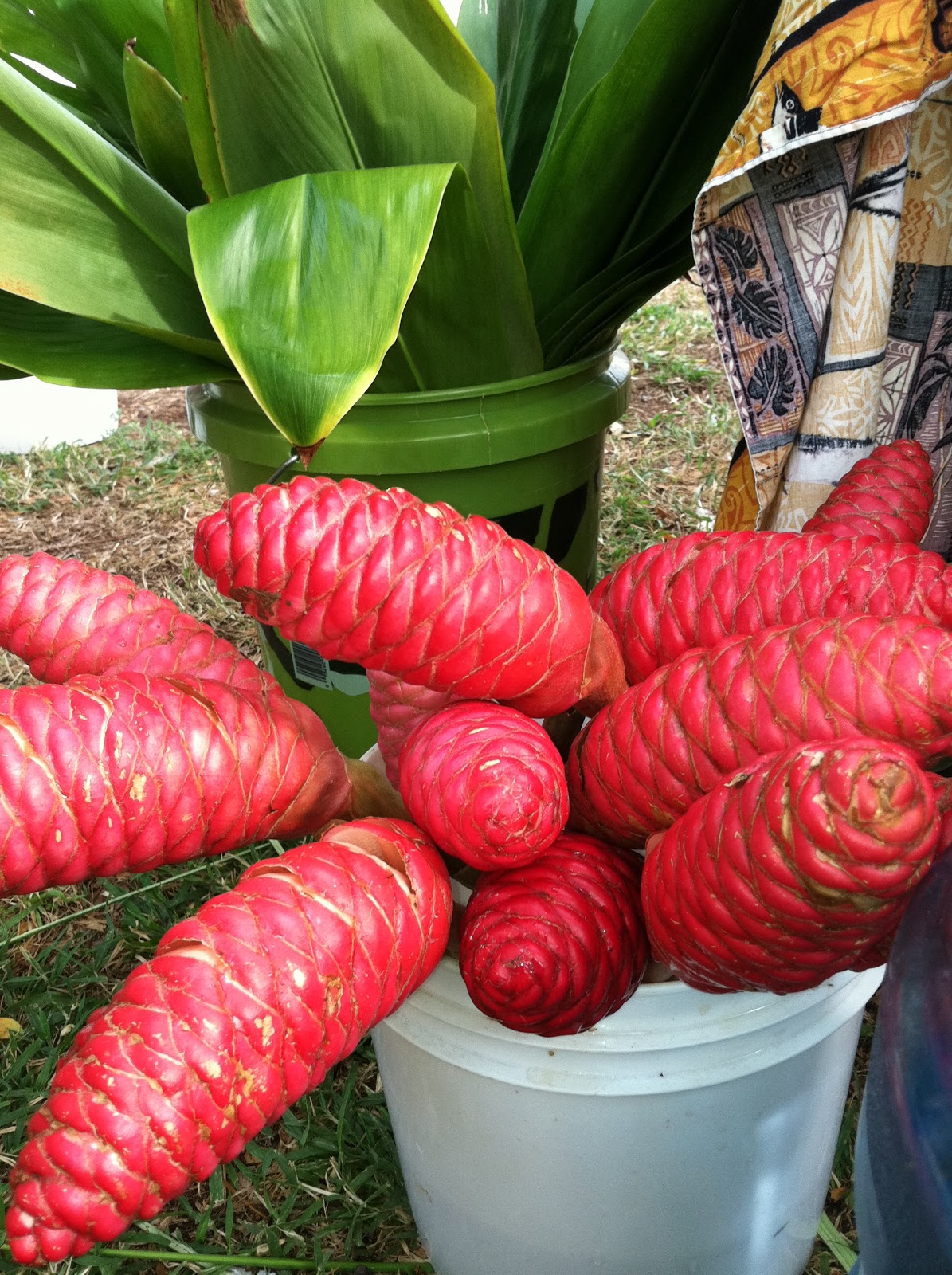 One Heroine's Journey