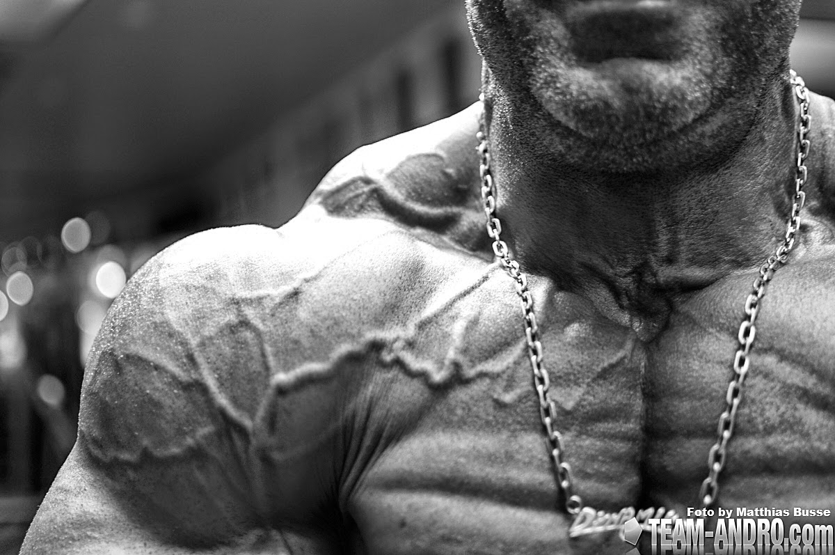 Muscle Gods: Michael Kefalianos