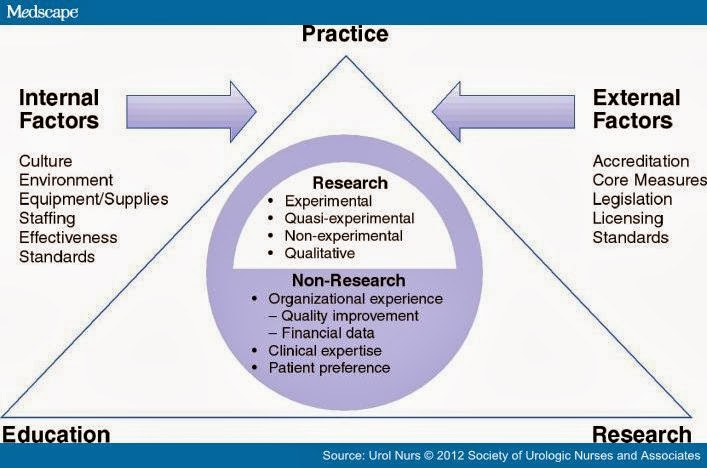Nursing Student: Health Informatics: Week 4: Evidence Informed Practice ...