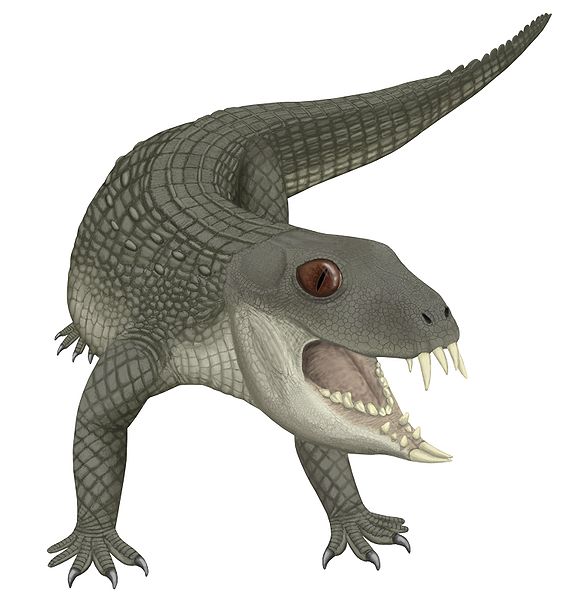 Species New to Science: [Paleontology • 2009] Yacarerani boliviensis ...