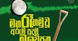 cyber sarpaya: මහ රෑ හමුවූ අරැම පුදුම බලු විපත