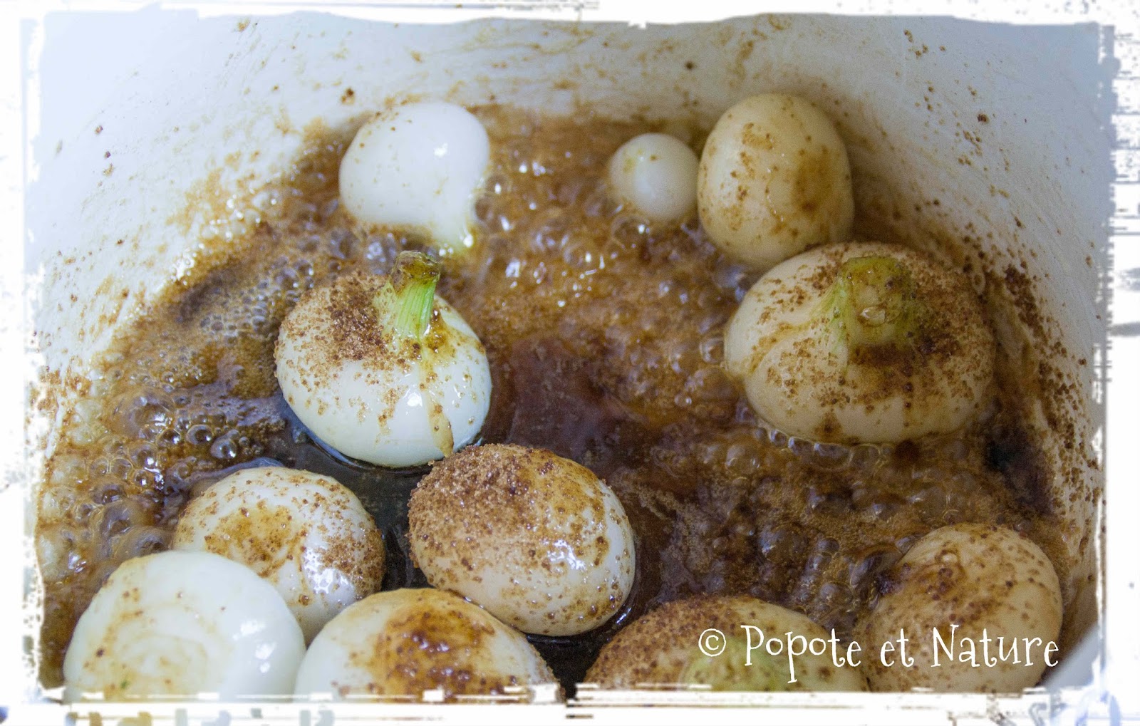 Popote et Nature: Que faire avec une botte d'oignons frais ? J'ai la ...