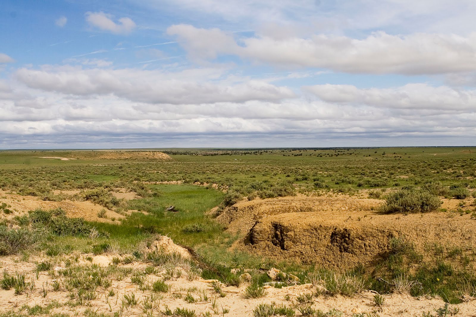 Woman with a Hatchet: Adventures on the Colorado Prairie