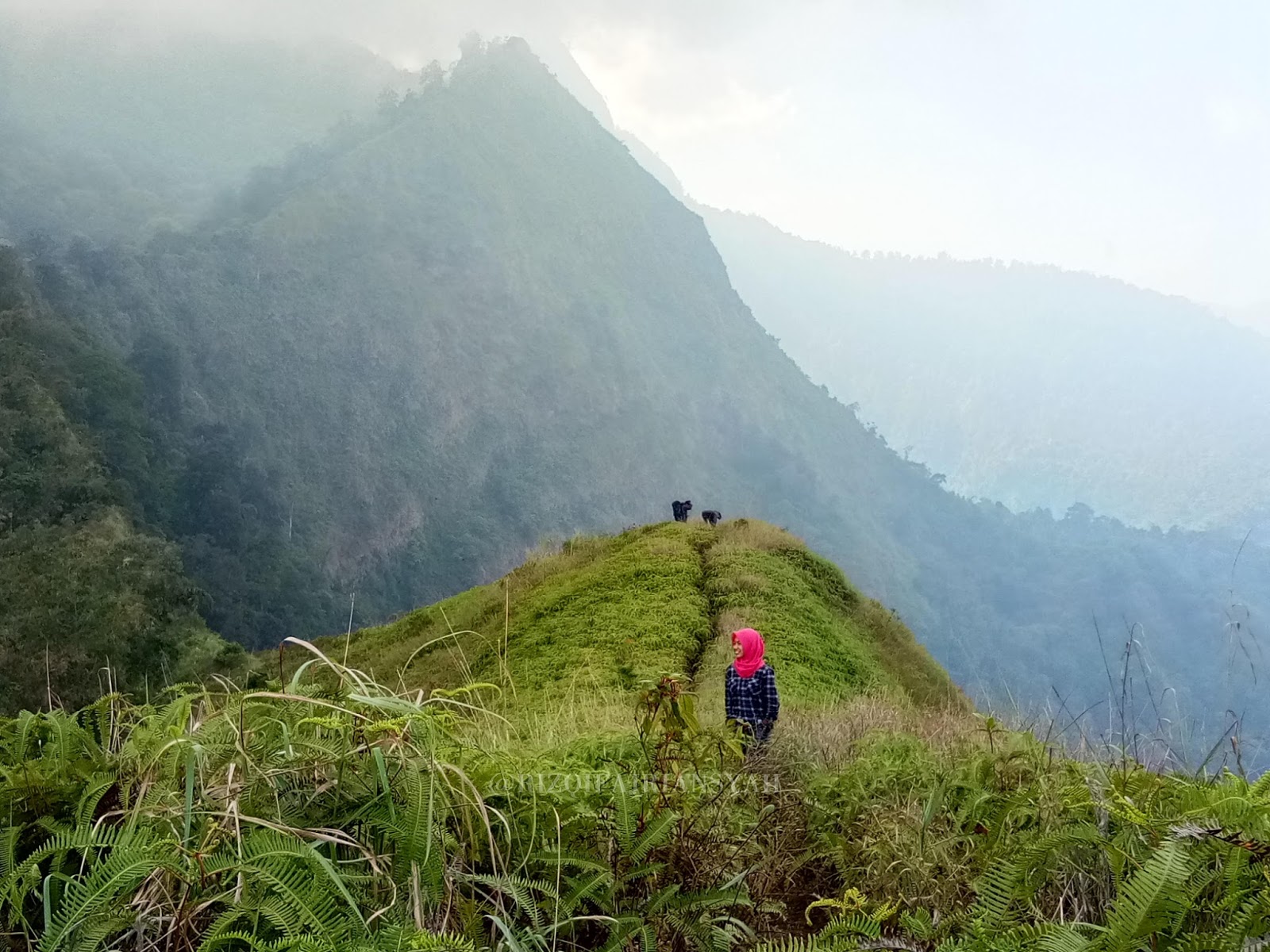DESTINASI JAWA TIMUR: PUNCAK WATU JENGGER (GUNUNG JOKOMUJUNG)