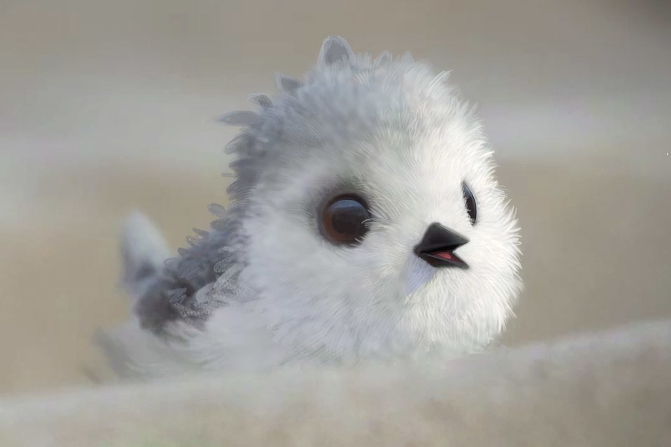 El Volar del Colibrí: Piper Cortometraje