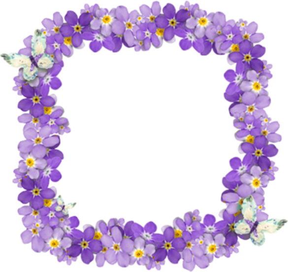 ForgetMeNot: forget me nots frames