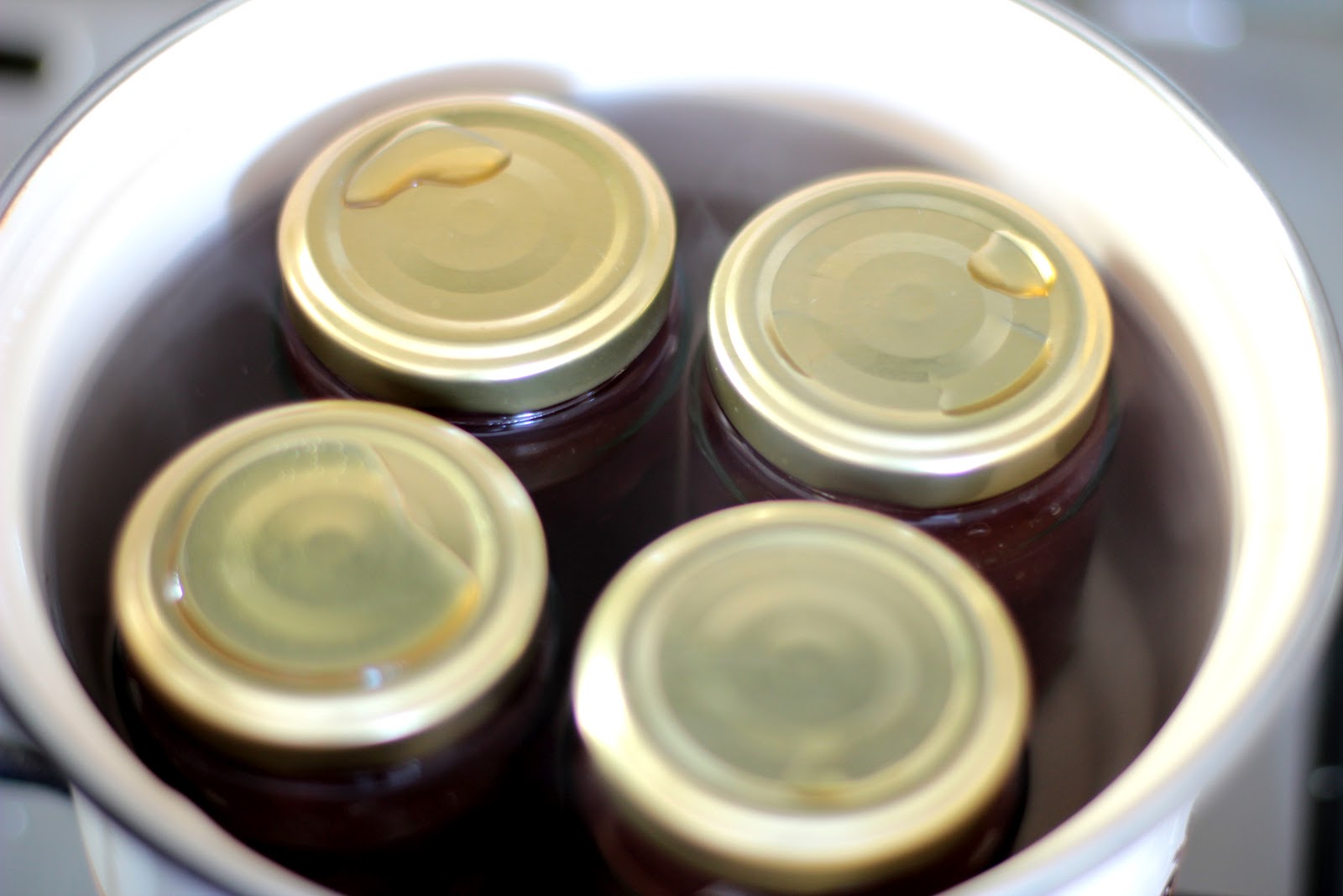 bake your slovak roots / slovenské korene: White Currant Jam / Džem z ...