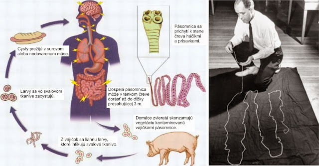viventibus esse: Všadeprítomné parazity