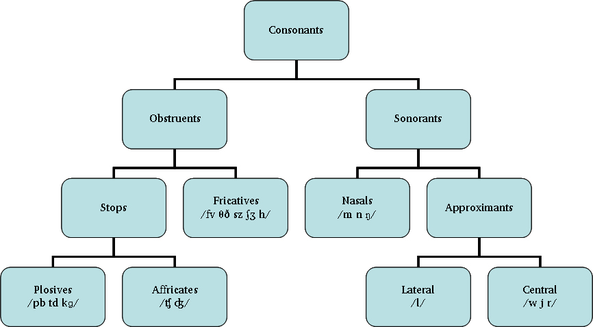 Kraut's English phonetic blog: approximant, sonorant, resonant or what?