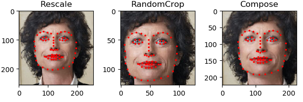 Sw정리 Pytorch Data Loading And Processing Tutorial 2 2