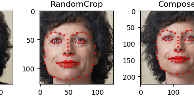 SW정리: PyTorch Data Loading and Processing Tutorial (2/2)