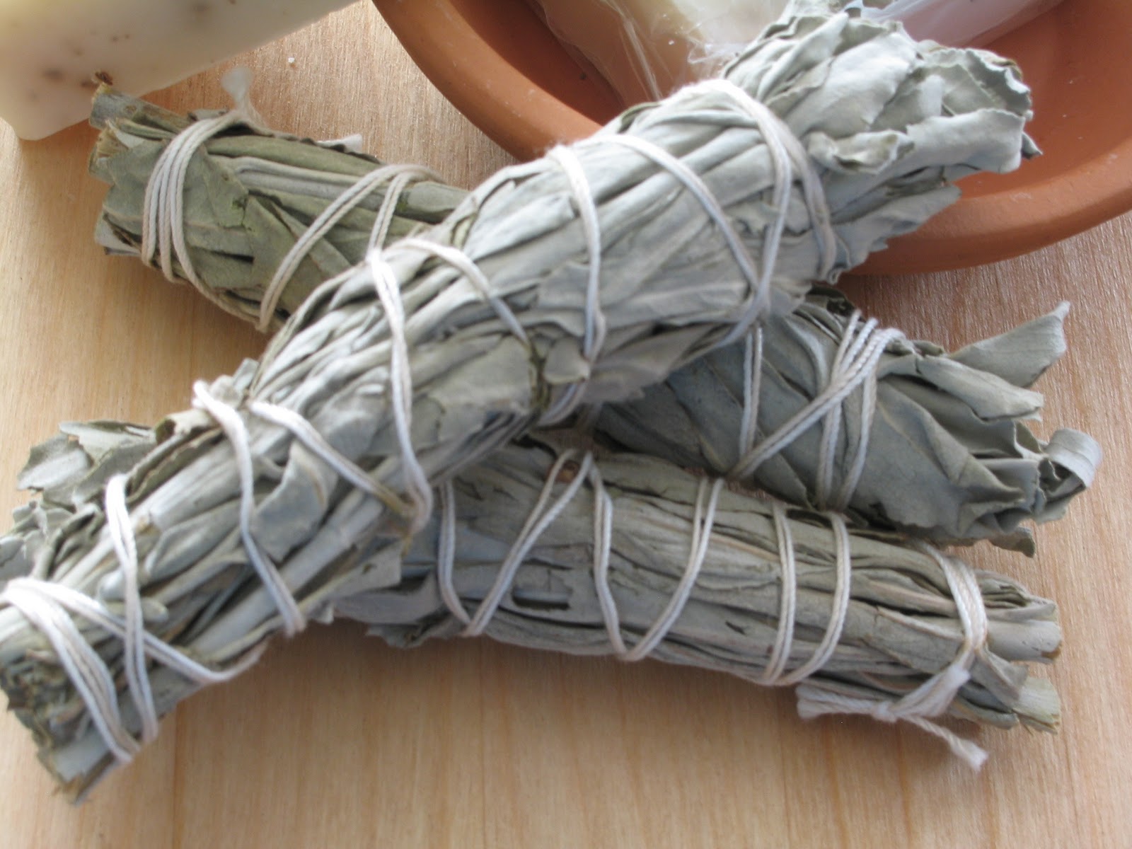 What's Cooking at Bayberry?: Herbs of the Month - White Sage