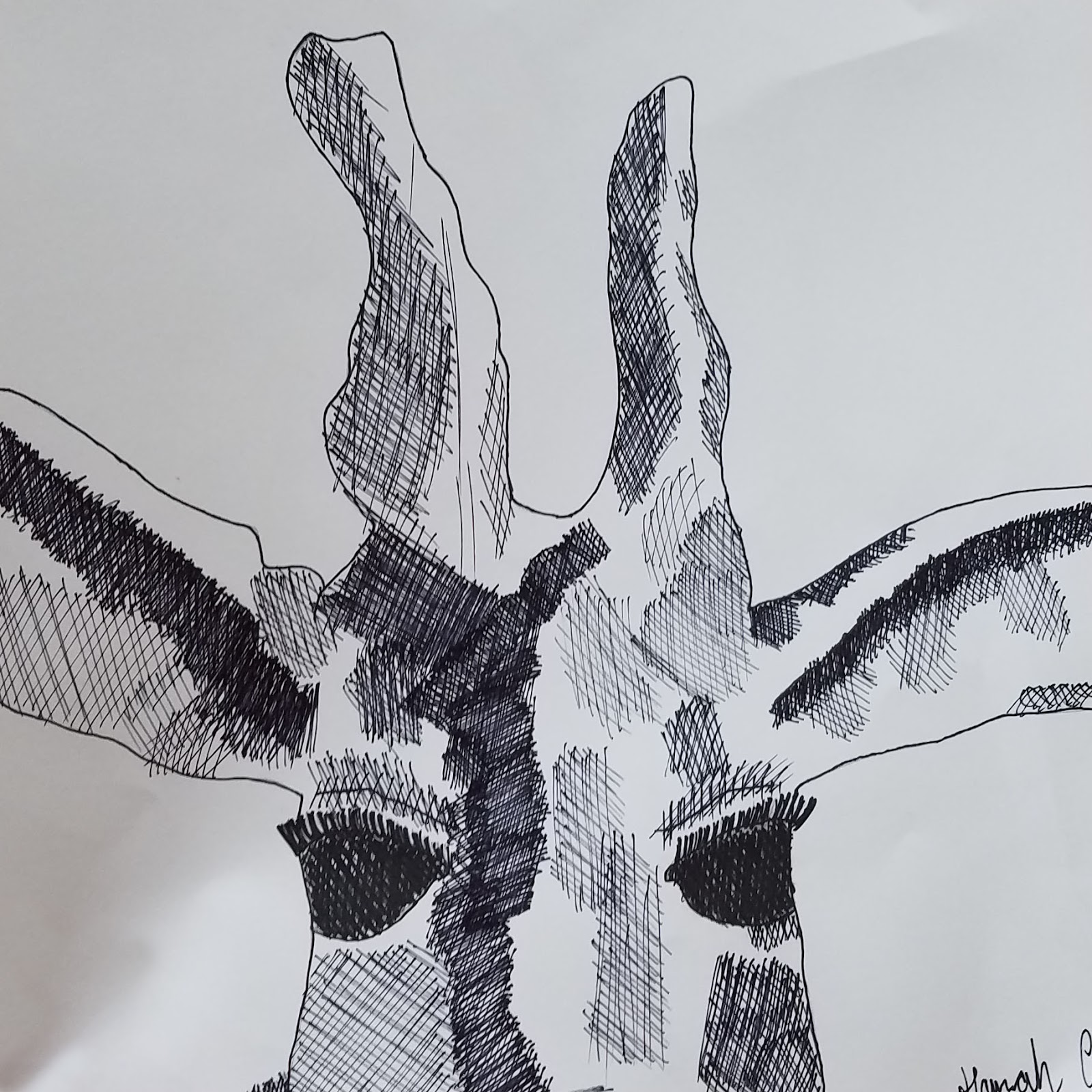 Jerdee's Art Classes: Drawing A | Stippling / Hatching / Cross Hatching
