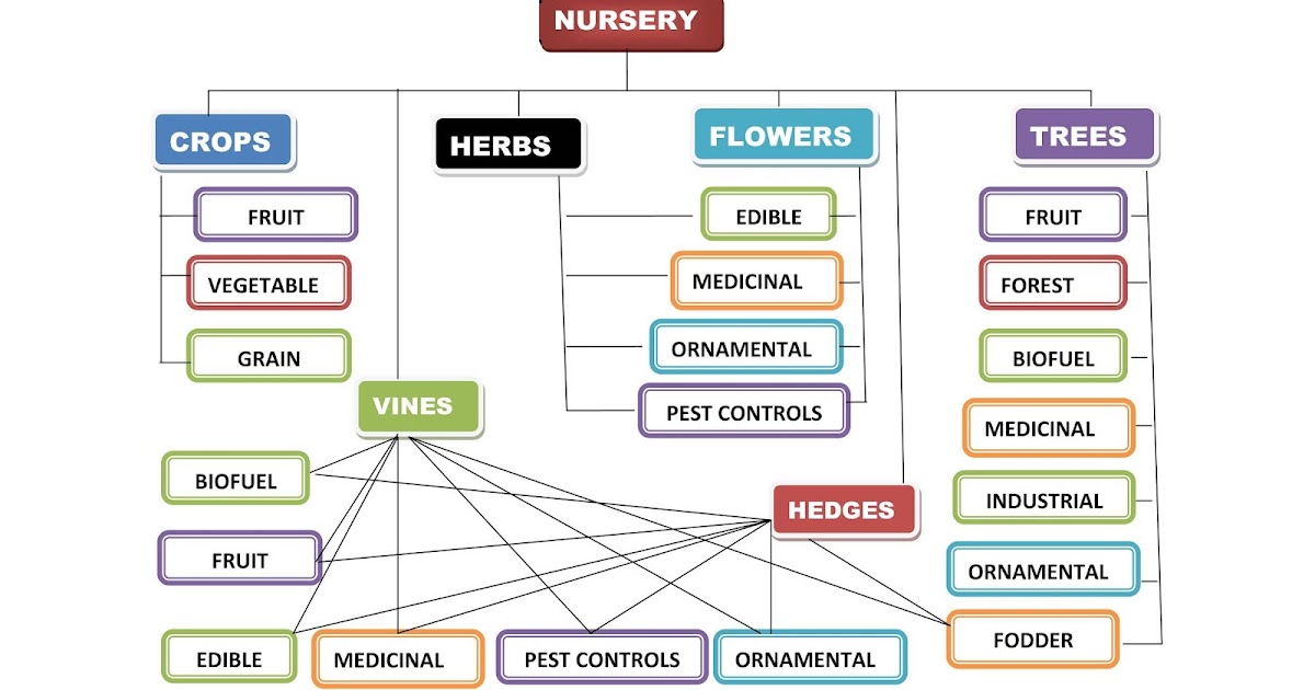 NURSERY CHART