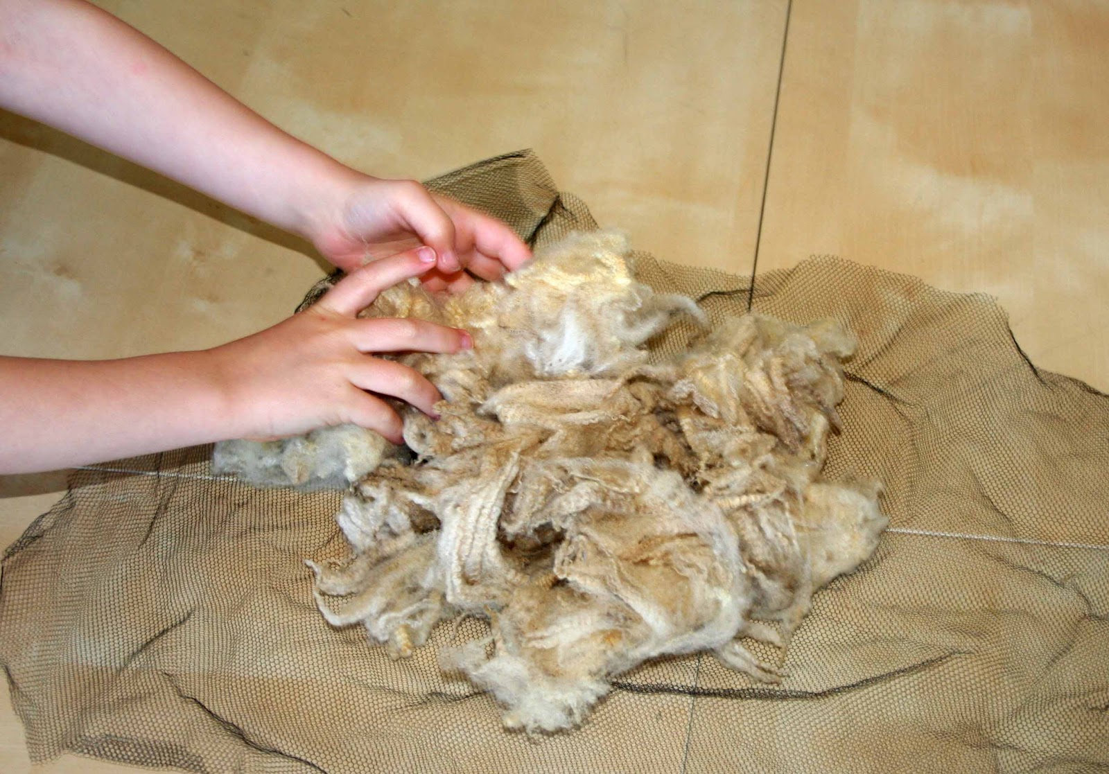 Creating and Educating: Dying Sheep Wool