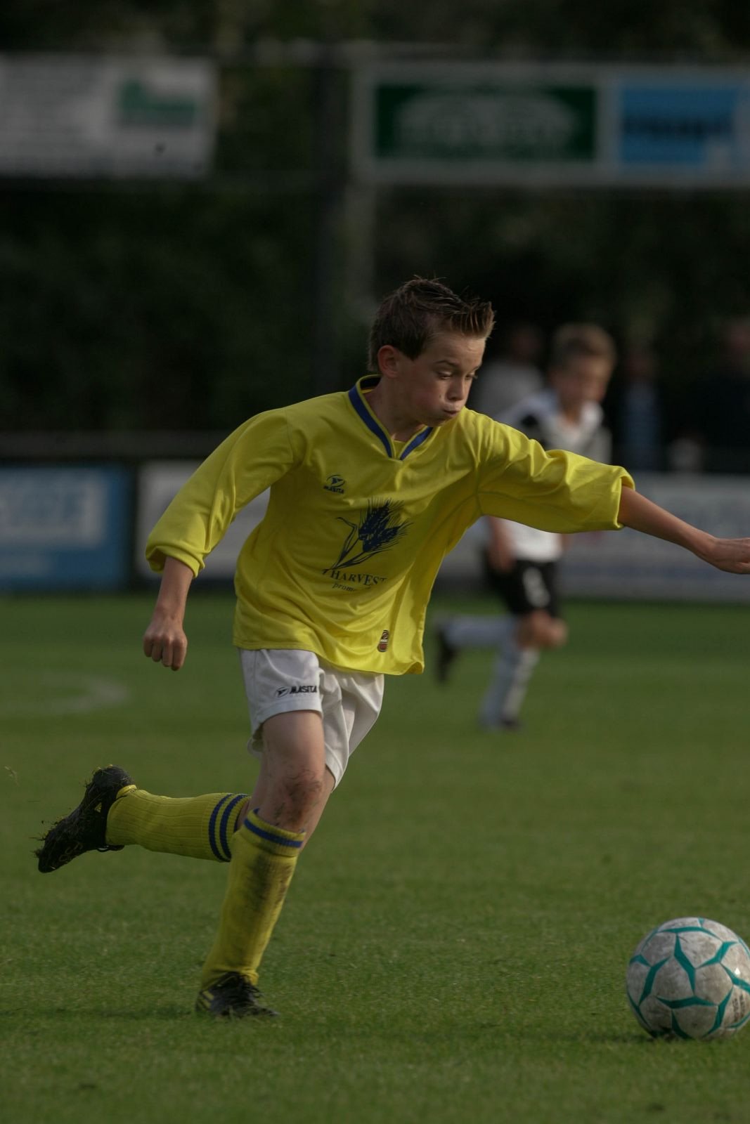 DAYDREAMBELIEVER: Geel Wit