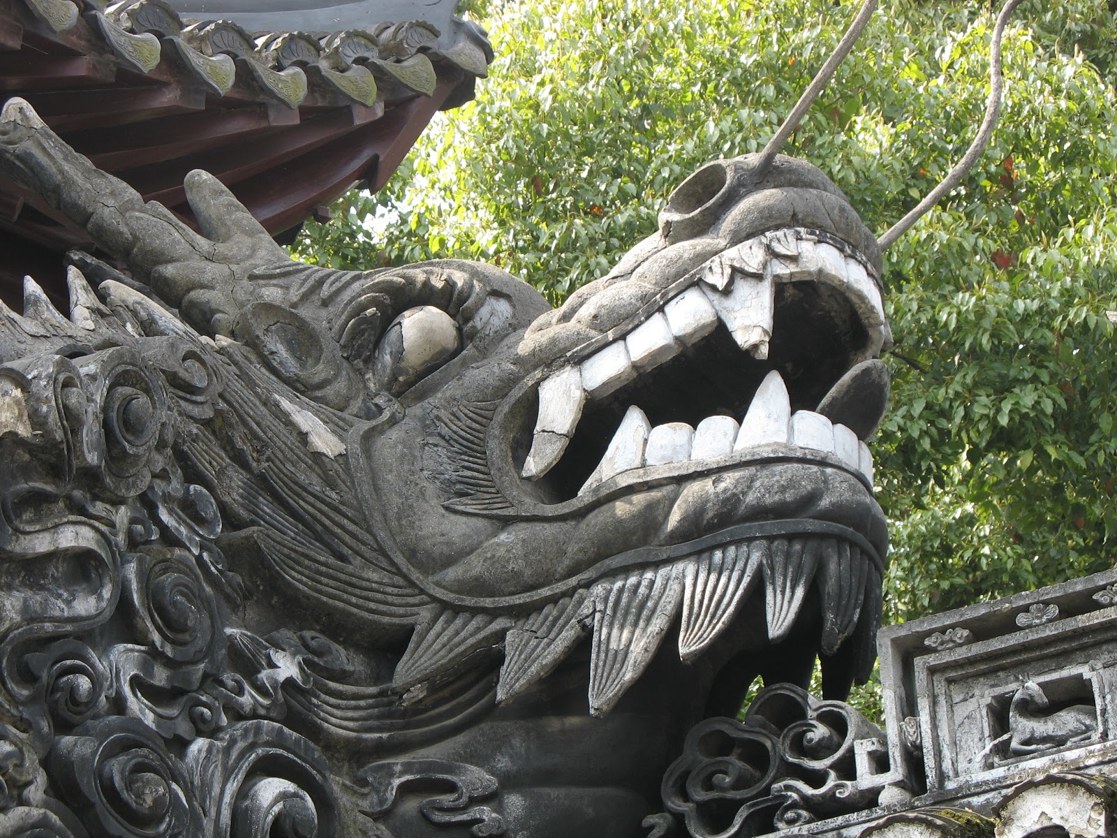 Goulash Blog: The Year of the Dragon