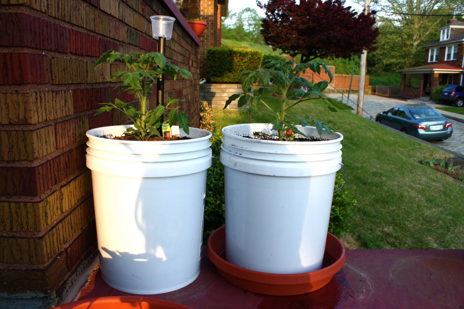 PittsburghGardener: Self-watering veggie pot experiment