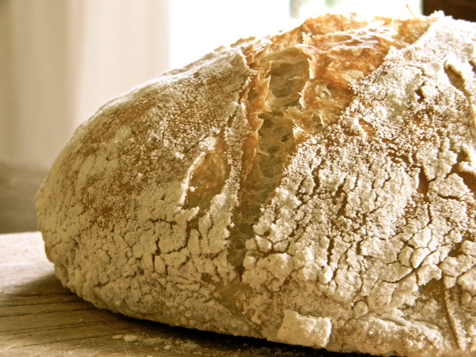 Seras Bubulina: Al pan pan y al vino... what?