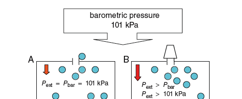 lumina rice cooker instruction manual