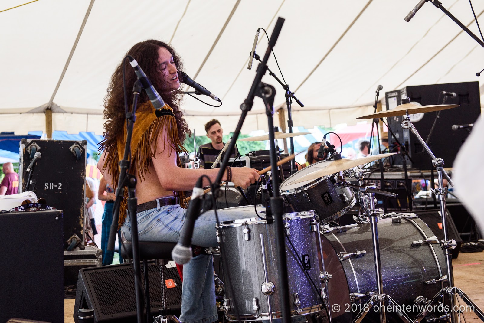 one in ten words: Hillside 2018: Day 3: Crown Lands - Concert Photos