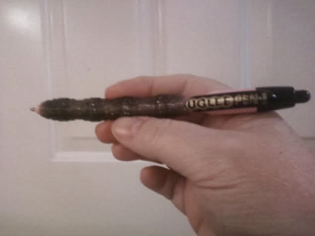 Gathering My Roses: UGLEE PEN: The Ergonomic Pen Review and Giveaway ...