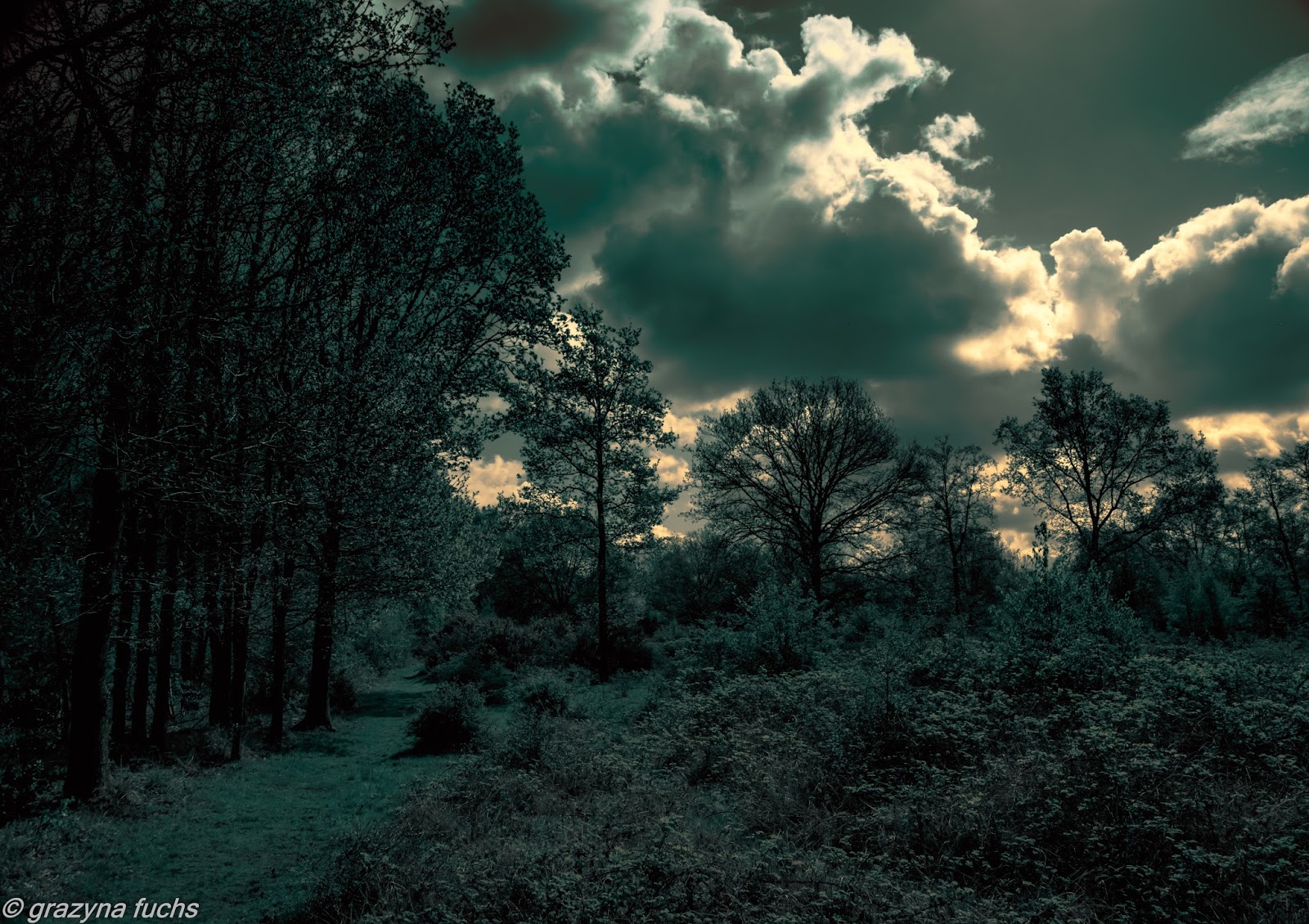 Enjoy your time with beautiful places: Epsom Common