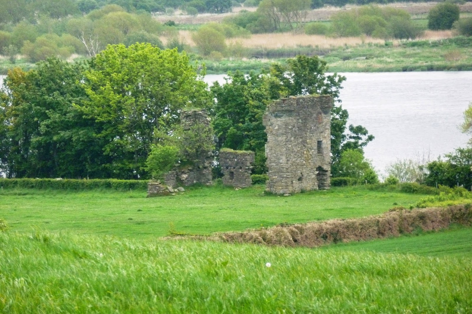 McCain's Corner: Finding the McCains