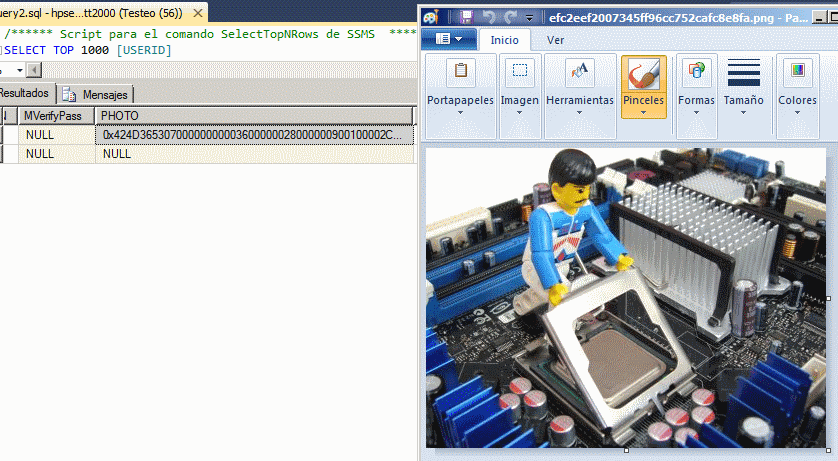 Programación a Martillazos: Visualizar imágenes en Sql Server ...
