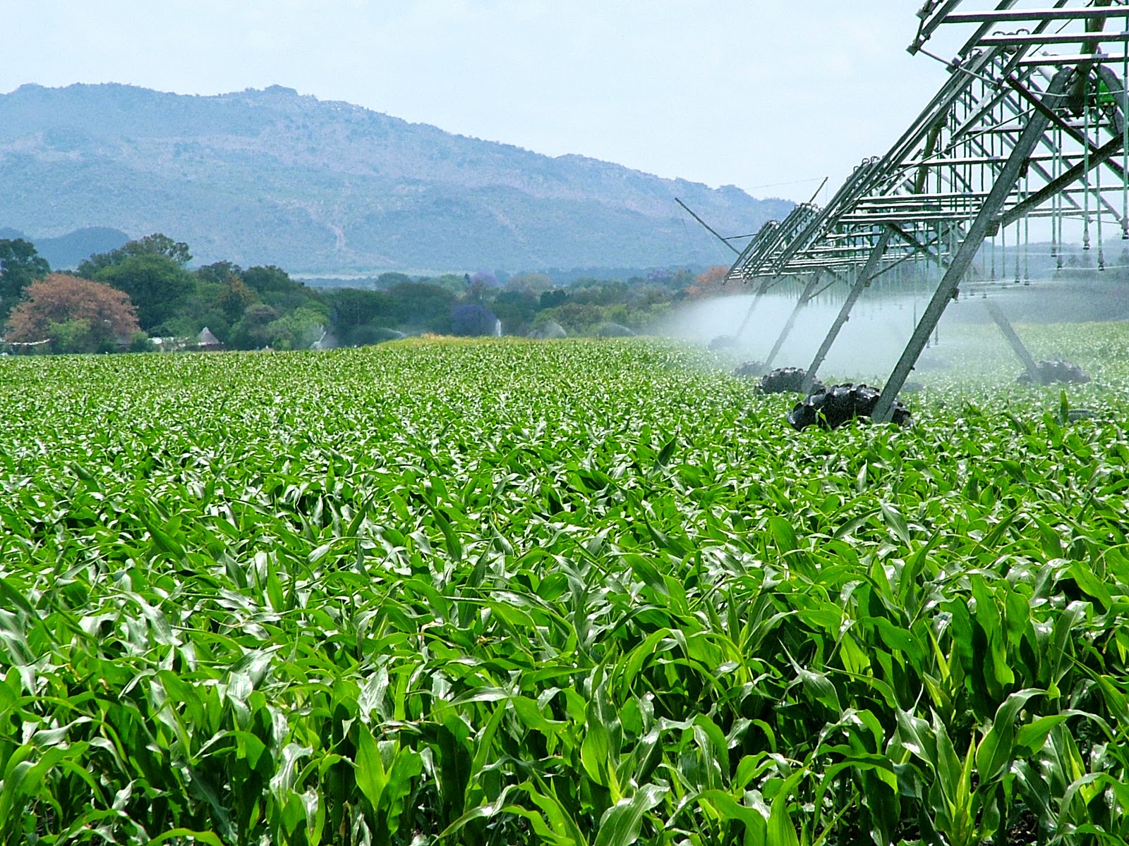 agroindustria Mexico