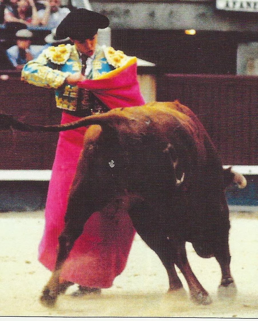 Blanco y Oro: * Lances de Capote-III.