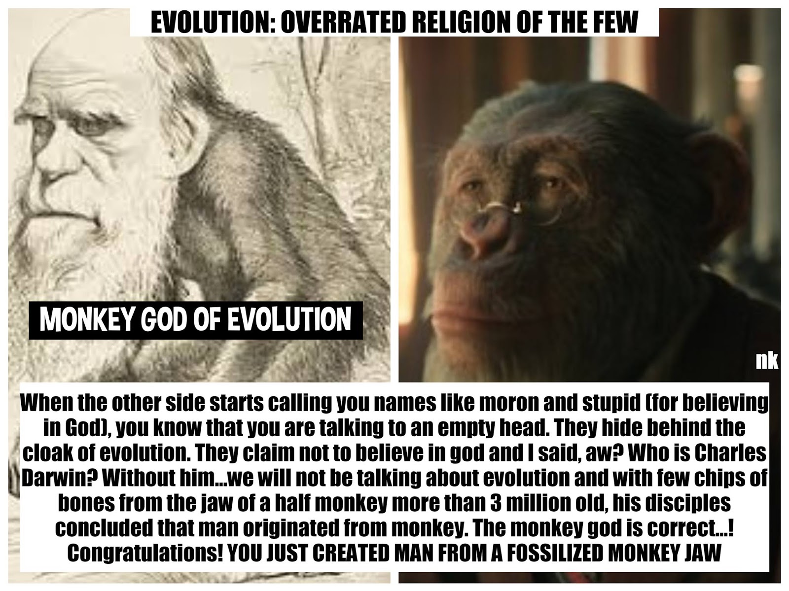 BEYOND 666: Did we Evolve from Monkey or Created out of Star Material?