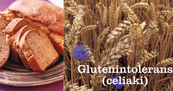 Kostrelaterade sjukdomar. Gluten, mjölk, besvär och följdsjukdomar ...