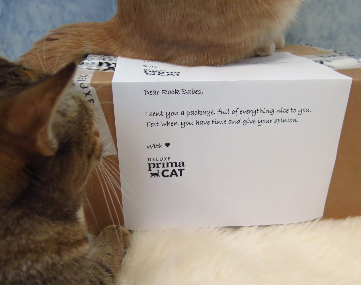 Kiskatit: Postipaketti