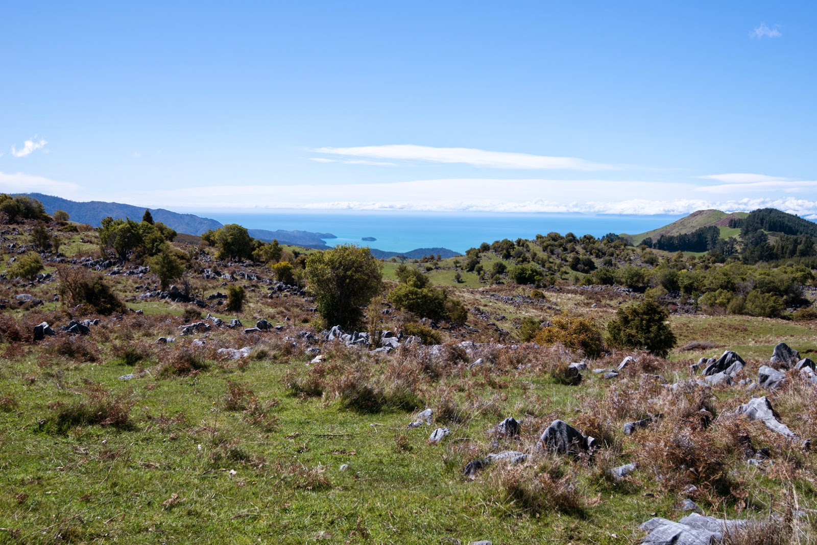 On the way to Golden Bay {Ngarua Caves and the drive to Pakawau} | the ...