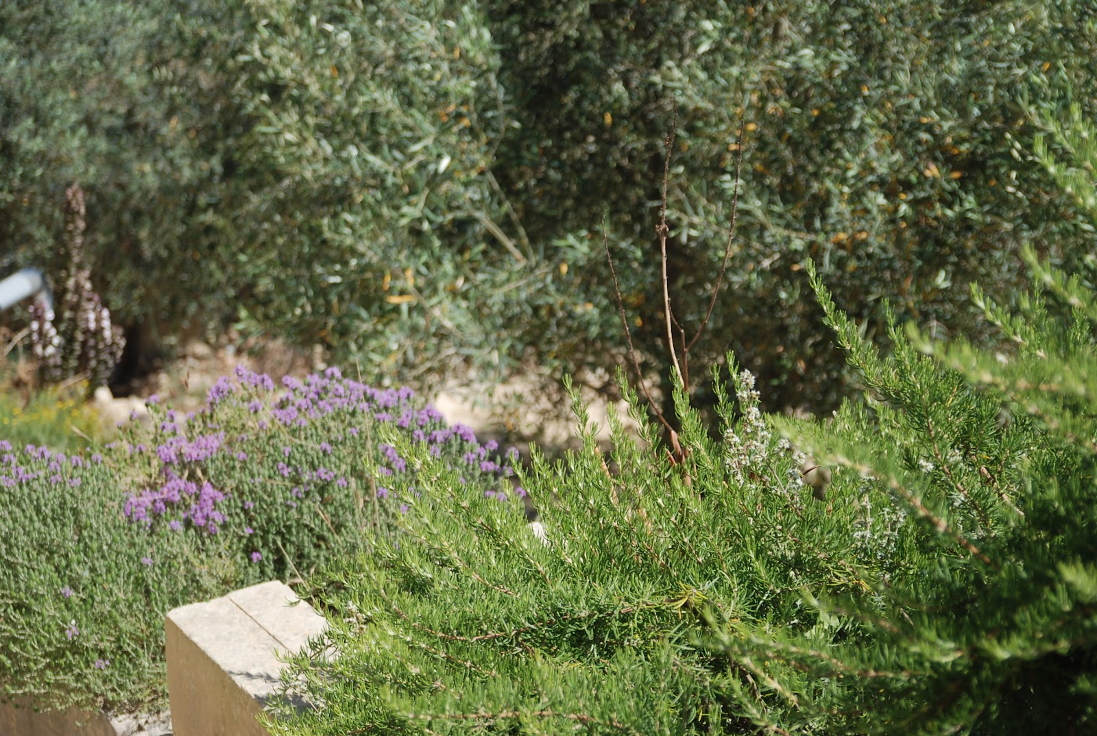 Merill Eco Tours: Summer in Malta with Merill Eco Tours