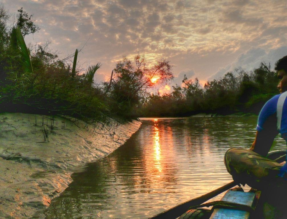 Amazing Wallpapers: Nature of SUNDARBAN
