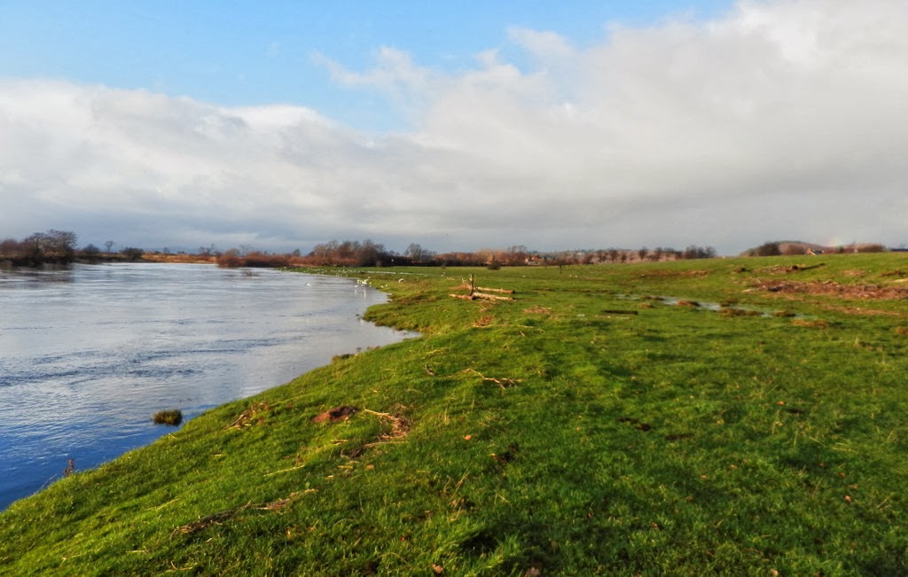 My Daily Walk: The Piers, River Forth, Cornton, Stirling