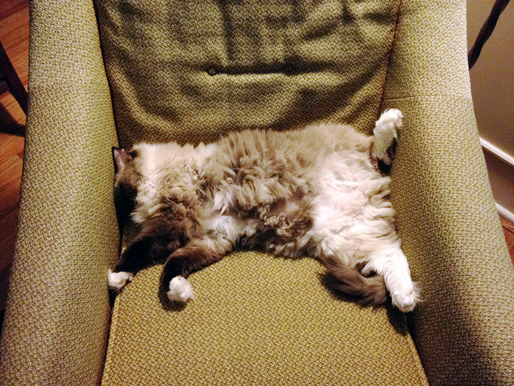 A Flash of Inspiration