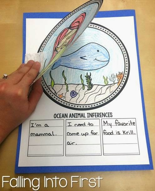 All About Ocean Life | Falling into First