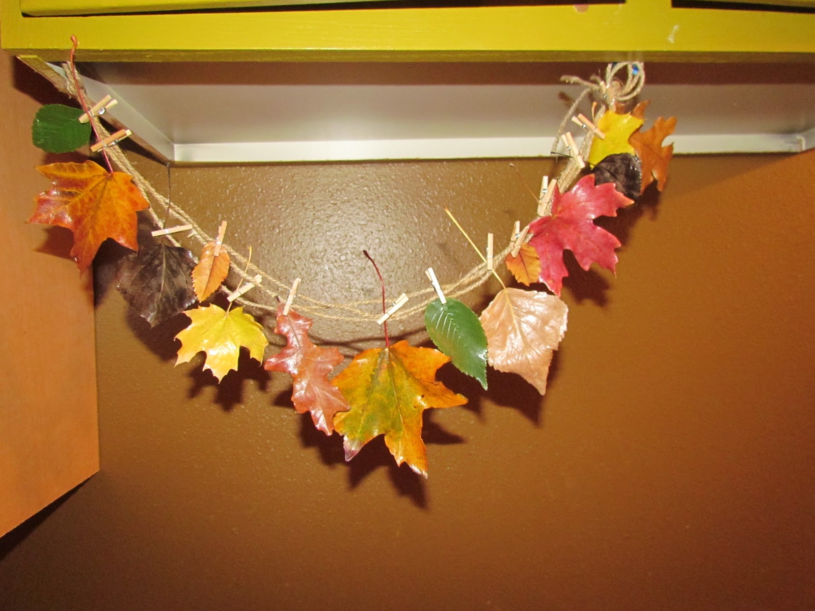 Embracing Life's Adventures: Gratitude Lesson and Activity