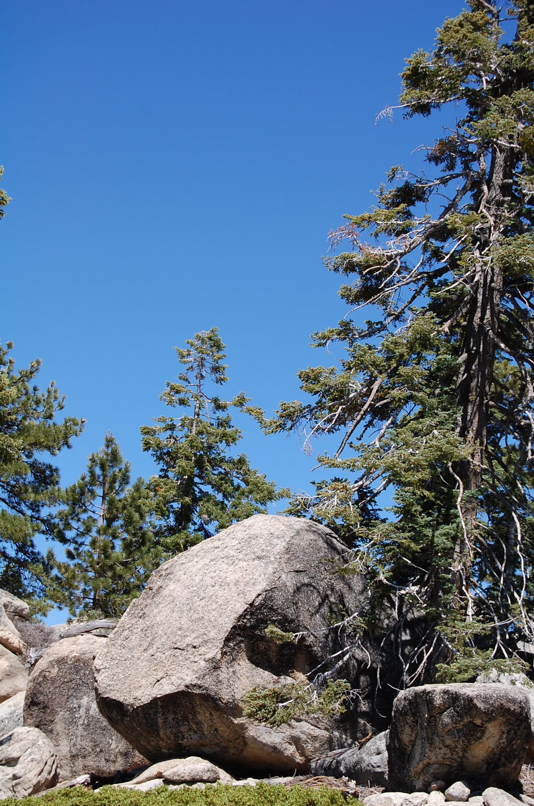 Big Bear Bouldering: Bluff Mesa Boulders