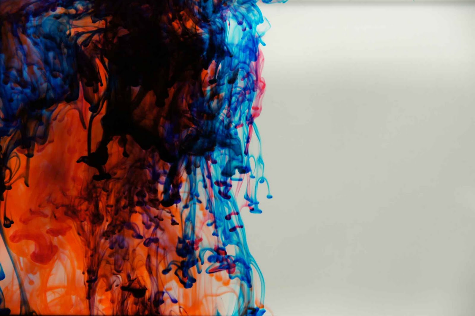 Soaring and Photography: Shooting Ink Droplets