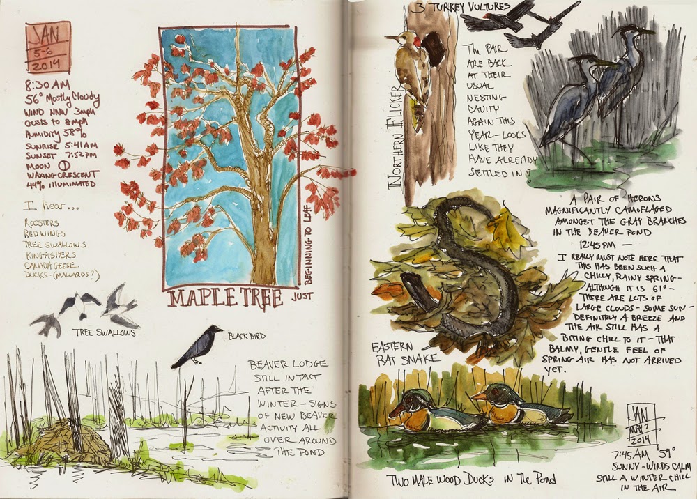 Jan Blencowe's Sketchbook Hypothesis: Learning through Science-Based ...