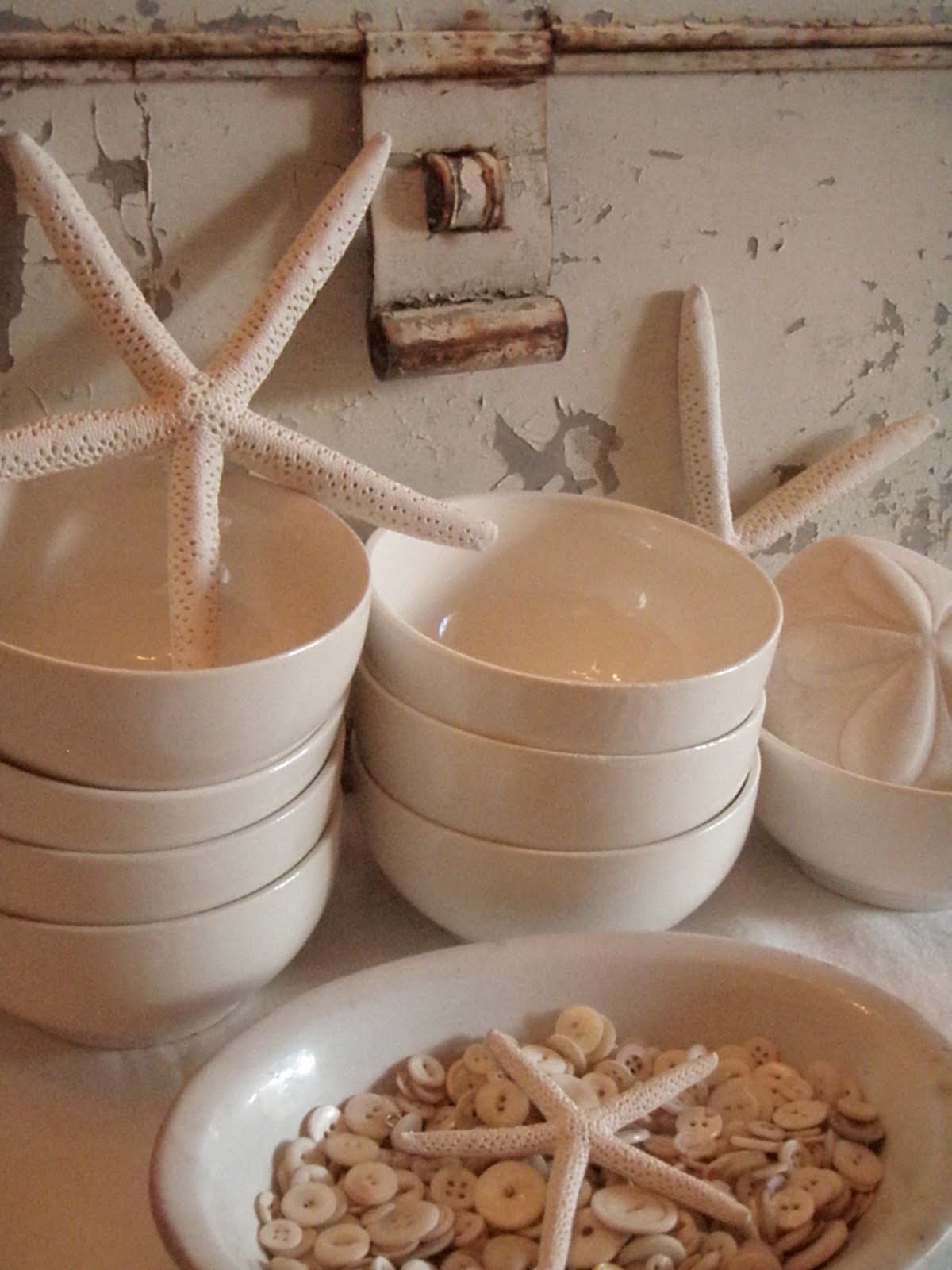 Cabin & Cottage : Sea Shells, Buttons, & Bowls