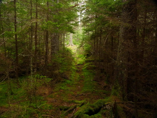 LATITUDES' JOURNEY: Buckle Island