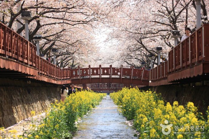 Corea del Sur: Paisajes de Corea del Sur