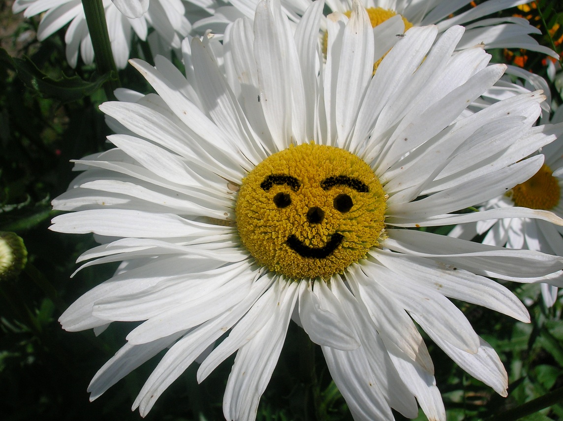 One Single Impression: Prompt 204: Smile